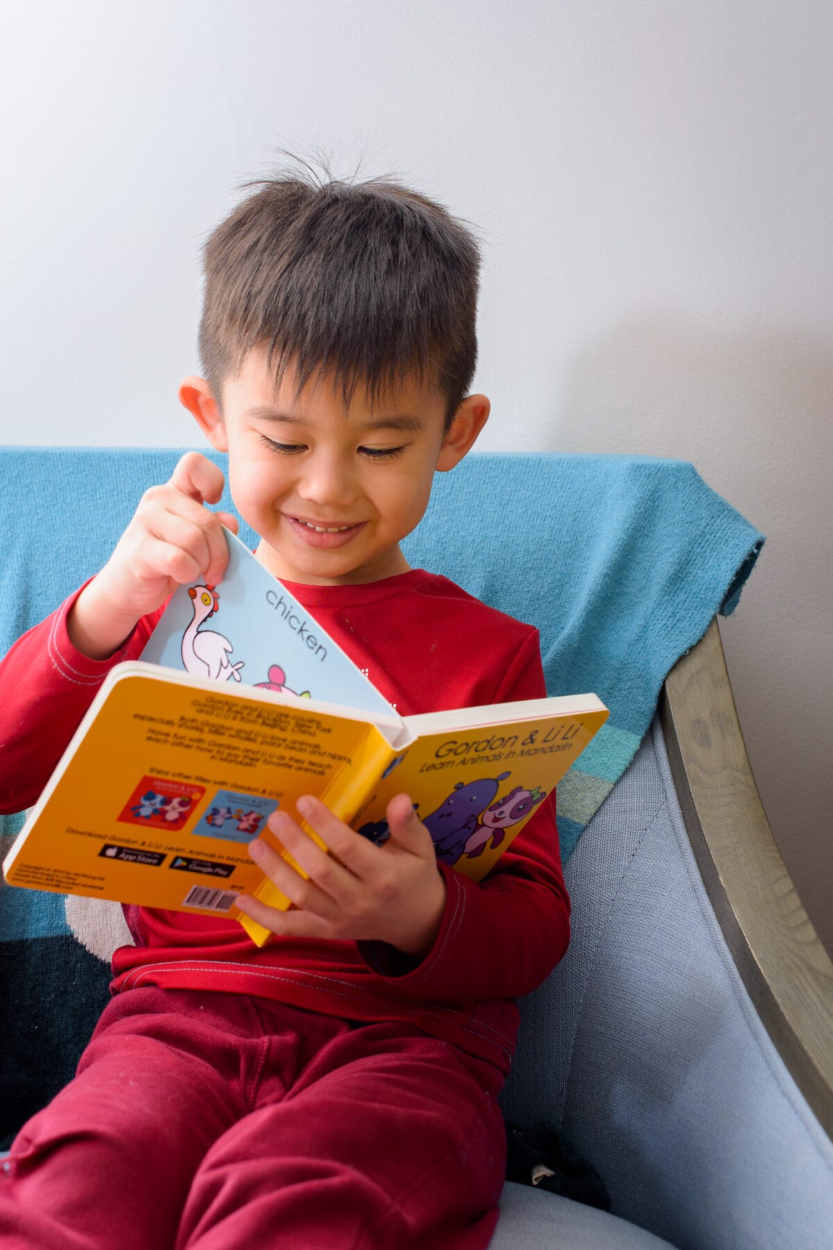 6 Best Chinese Children Books to Read Aloud for Babies and Toddlers ...