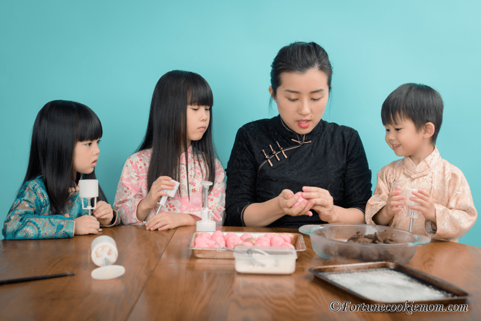 Chocolate Snow Skin Mooncakes - Fortune Cookie Mom